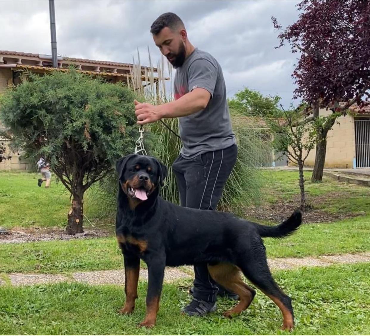 BARNEY DE TXURROKE - Txurroke